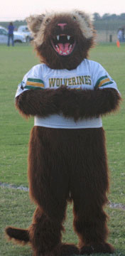 Springlake-Earth High School Cheerleaders